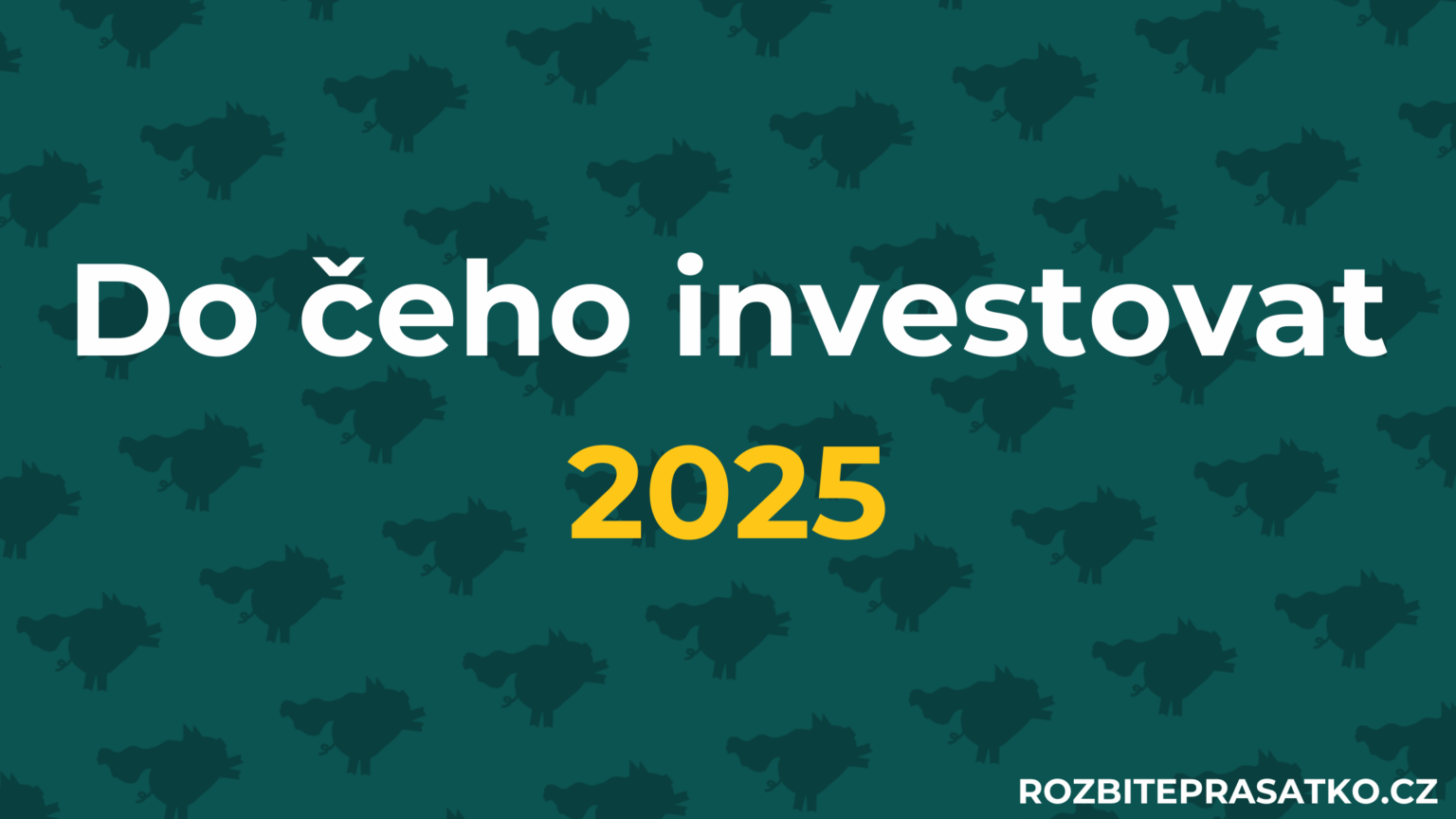15 možností do čeho investovat v roce 2025 peníze!