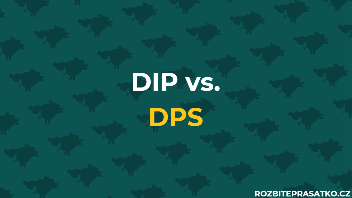 DIP vs. DPS. Co je lepší? Velké srovnání spoření na penzi! [2024]